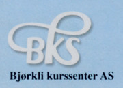 Ny, tidsriktig shingel fra Icopal - Ny Teknikk